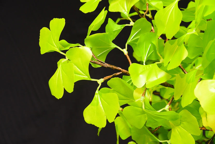 LED super high simulation ginkgo tree light,Height: 4.1m(13.5ft ...